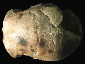 Dali archaic Homo sapiens
