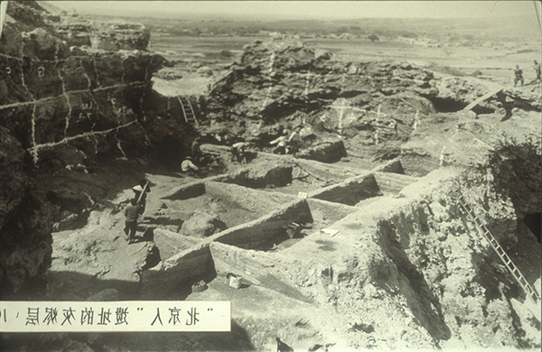 Zhoukoudian Homo erectus